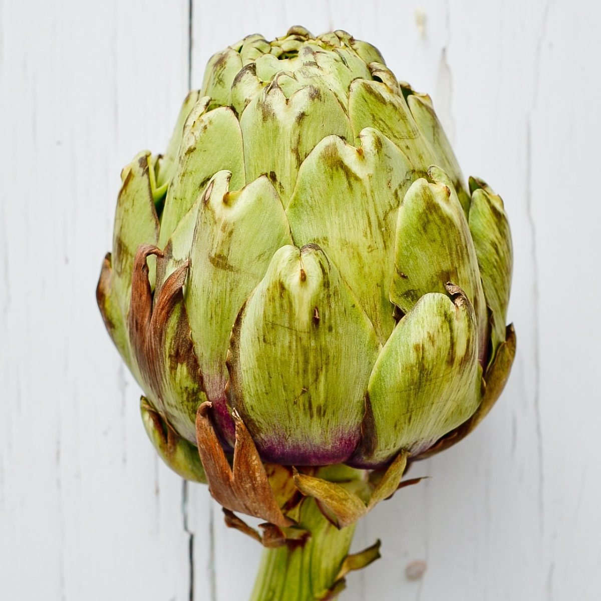 Artichoke – Zed Foods
