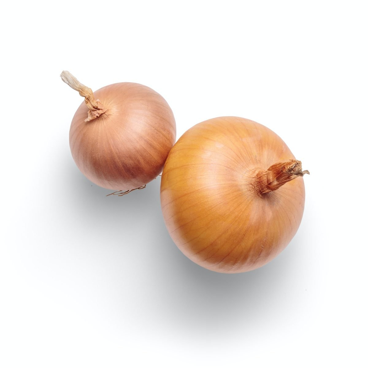 Golden Onion – Zed Foods
