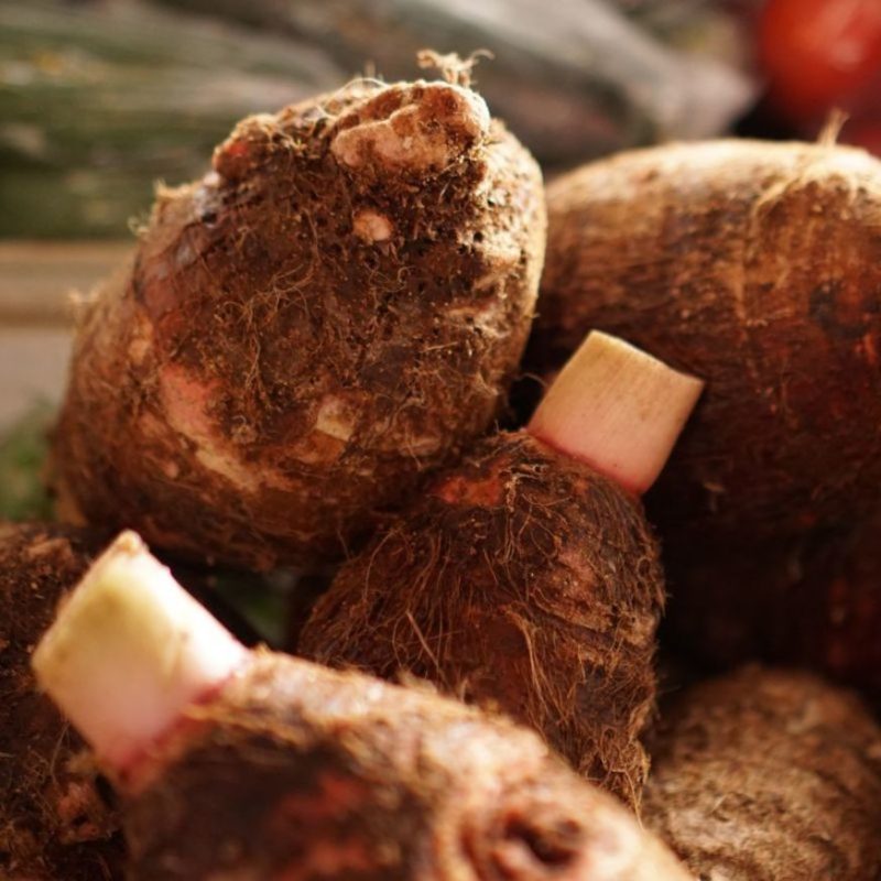 Frozen Taro Root – Zed Foods